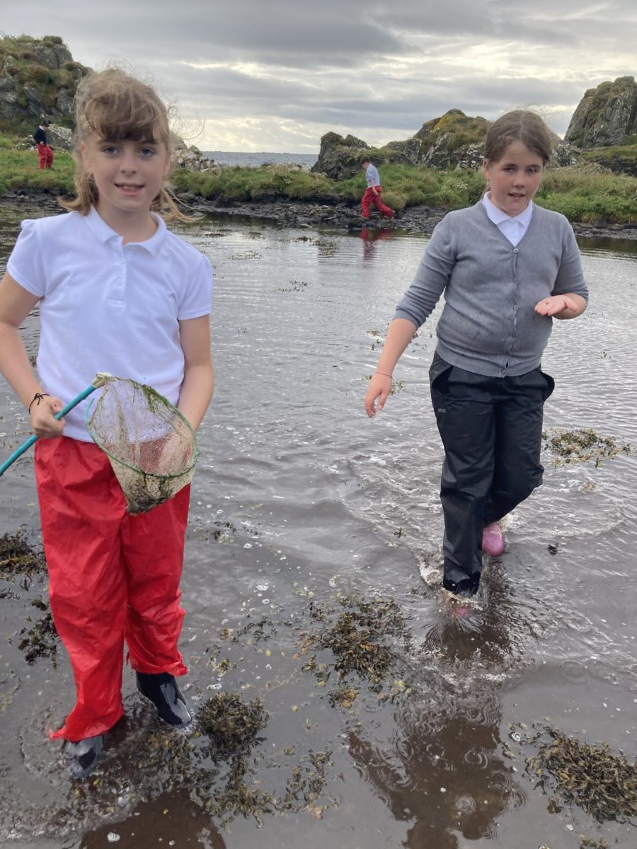 Rock pooling – Port Ellen Primary School