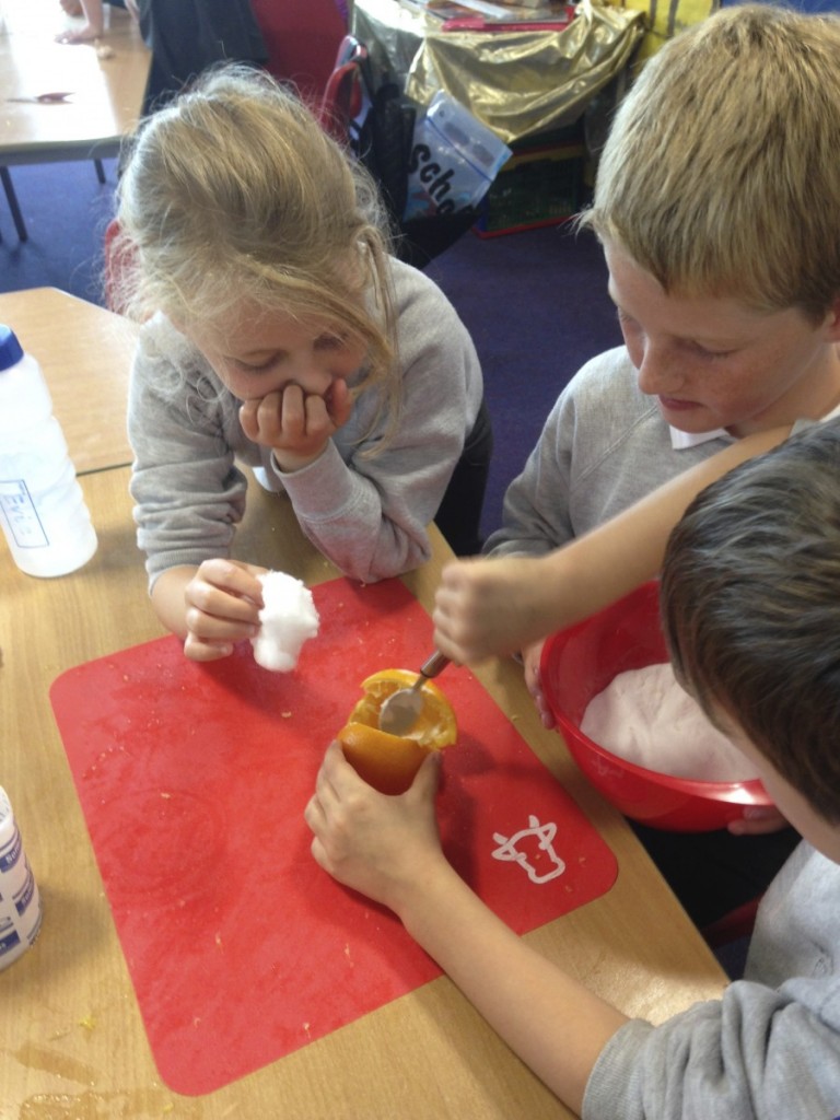 Making Mummies – Our Learning Blog