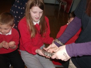 Zoolab visit to Strone Primary School | SAL