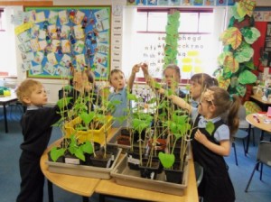 “Magic at Tarbert Academy” | SAL