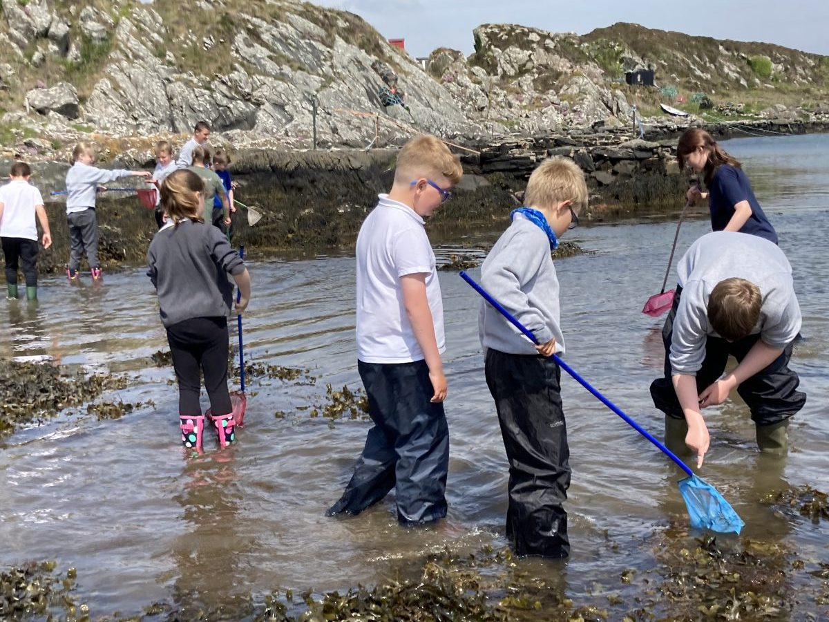 Rock Pooling – Port Ellen Primary School