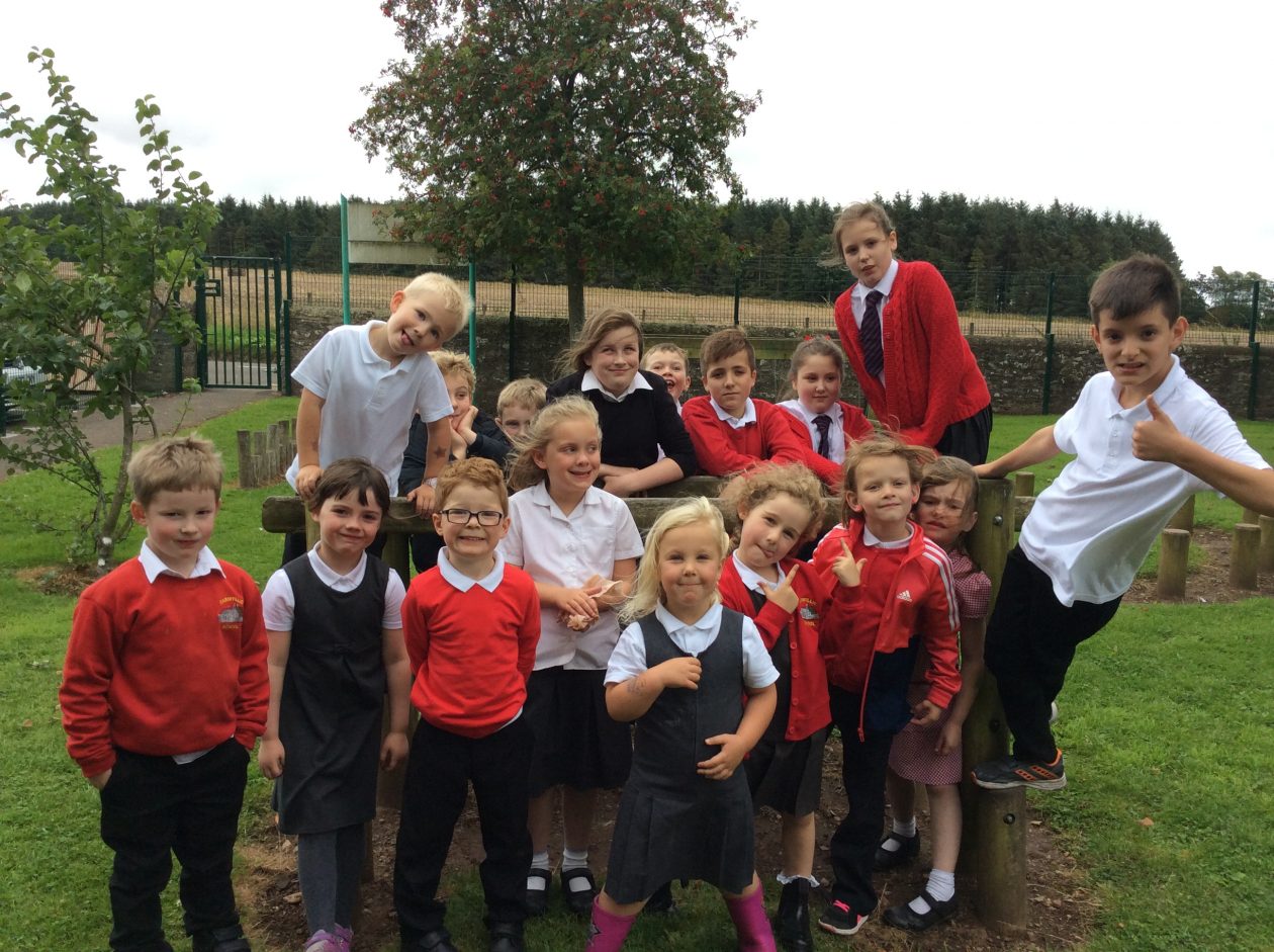 About Us | Carmyllie Primary School