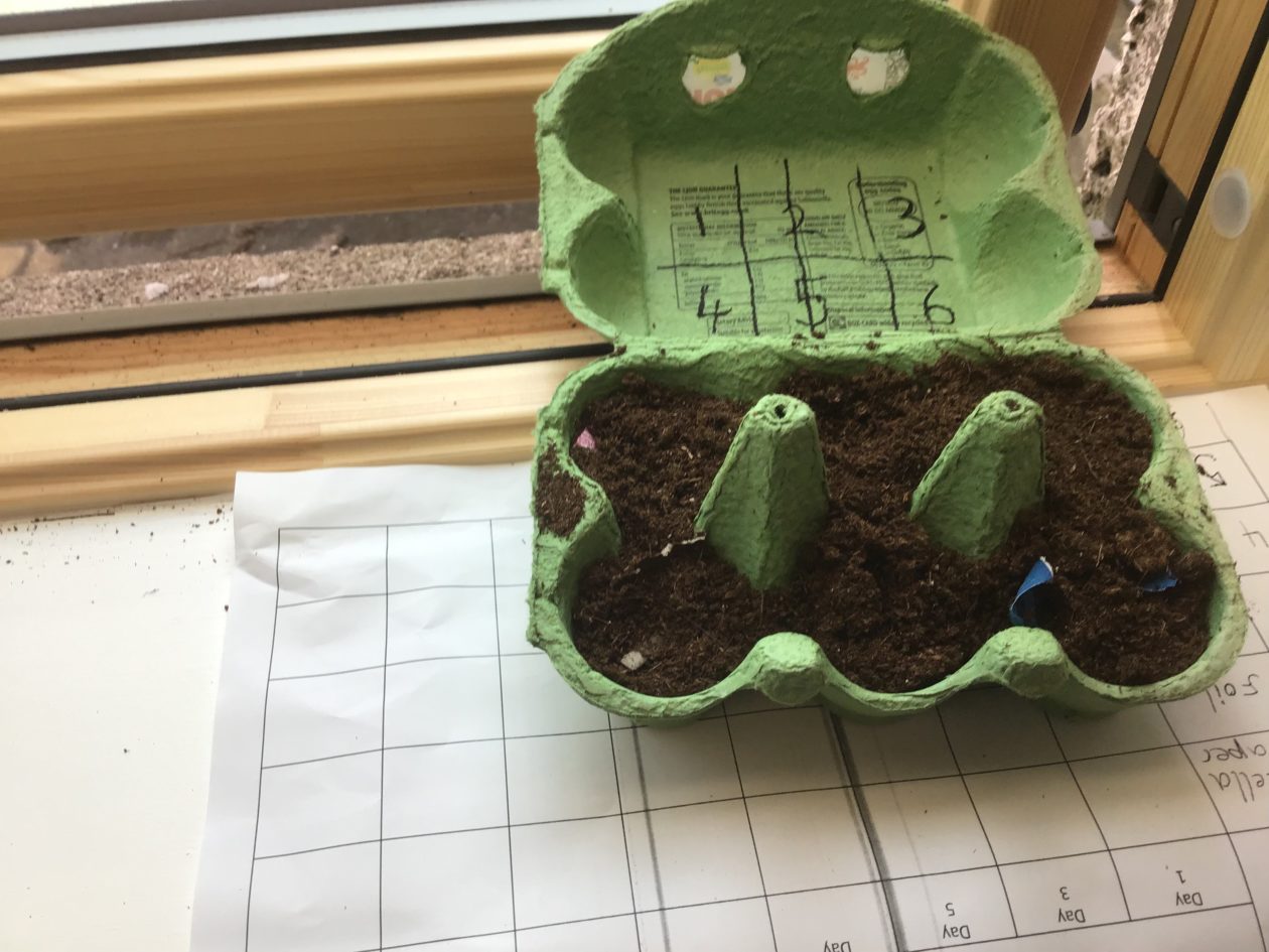 Eco Schools Litter and Waste Live Lesson – Arnage Eco Group