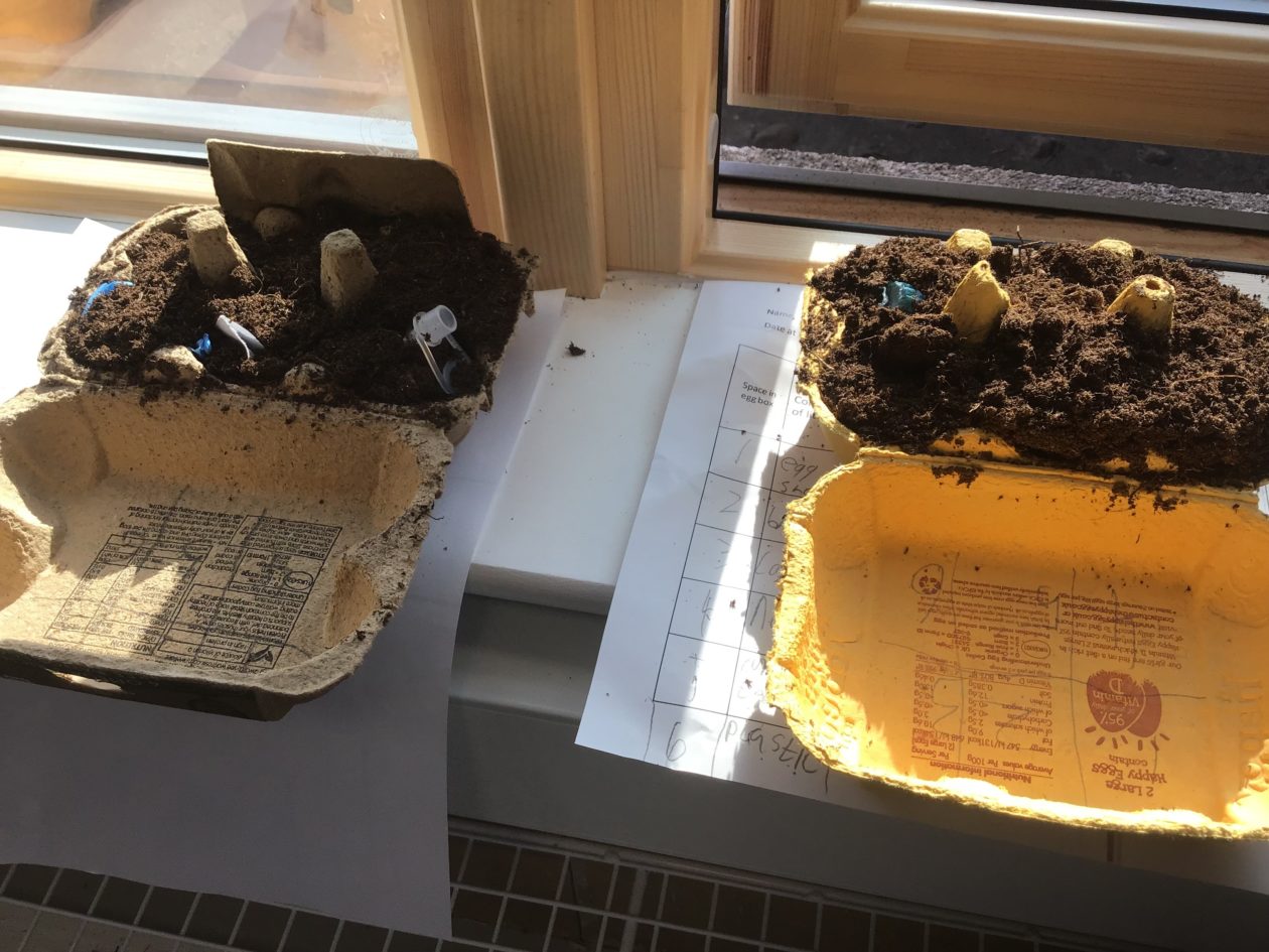 Eco Schools Litter and Waste Live Lesson – Arnage Eco Group