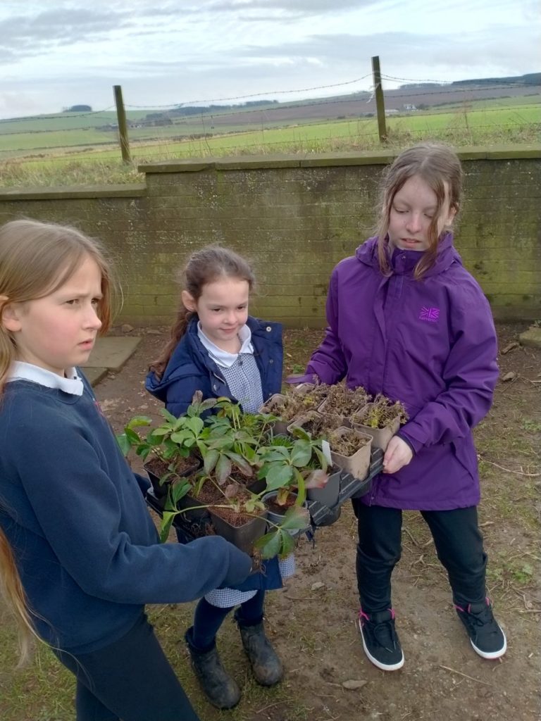 We’ve got some plants to plant – Arnage Eco Group