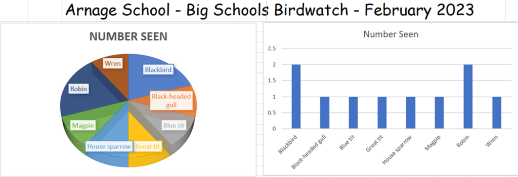 Big schools birdwatch – Arnage Eco Group