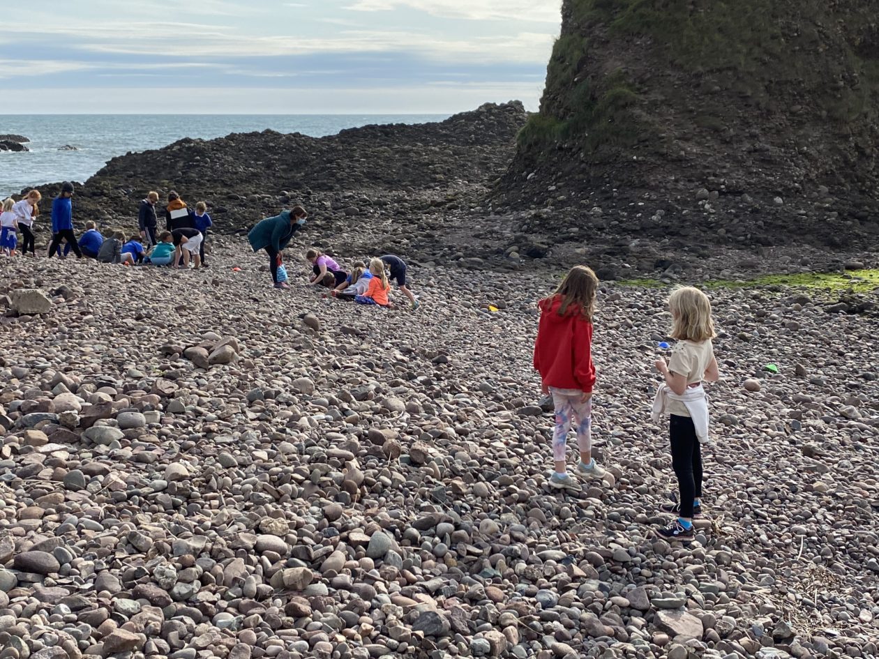 One Planet Picnic | Catterline School Eco Committee