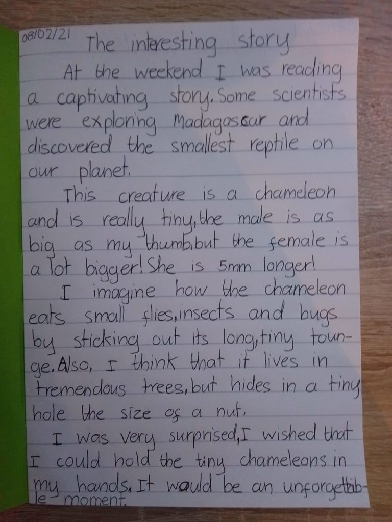 P4/5 Online Learning Update – Fettercairn Primary School Blog