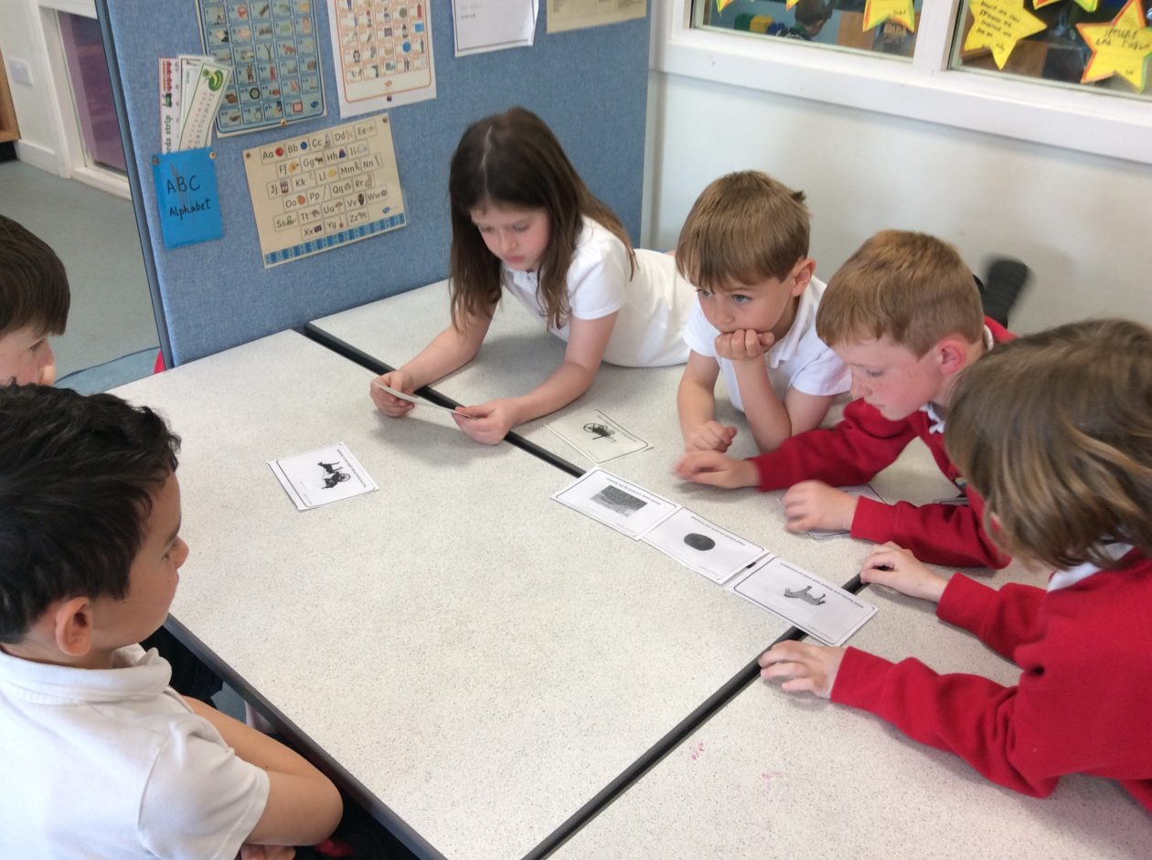 Sharing Our Learning @ HOB