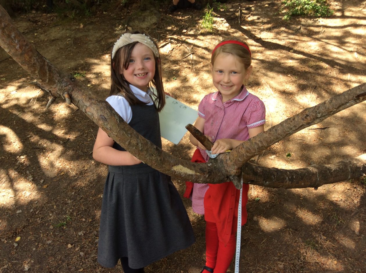 Sharing Our Learning @ HOB