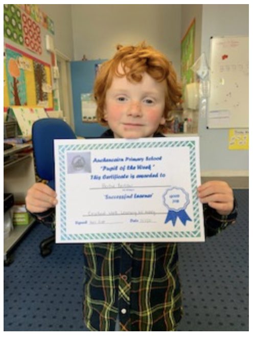 Pupils of the week across the partnership | Auchencairn & Borgue ...