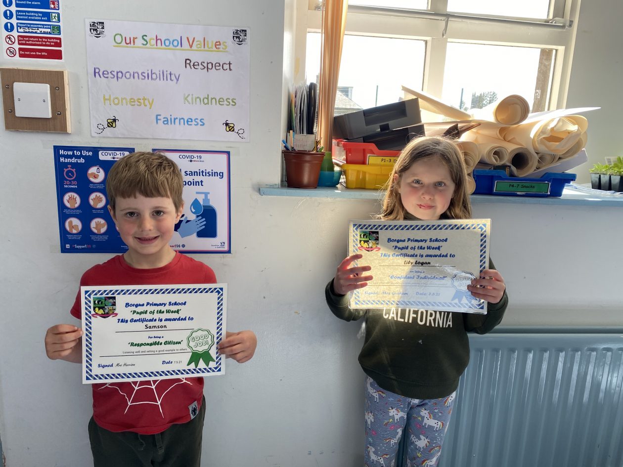 Pupils of the week across the partnership | Auchencairn & Borgue ...