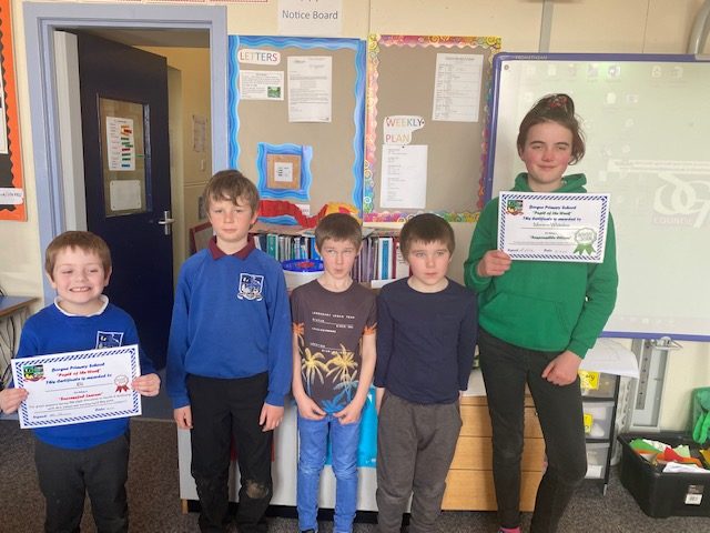 Auchencairn & Borgue Primary School Partnership | Welcome to our ...