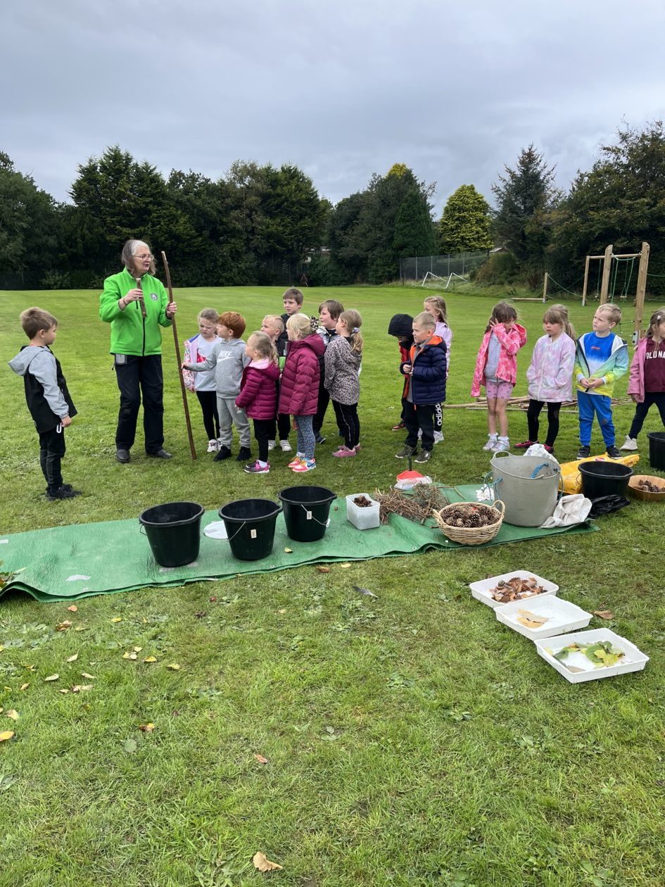 Maths Outdoor Learning – Maths Week Scotland | Dalbeattie Primary School