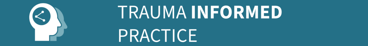 Trauma Enhanced Practice – Framework for Inclusion