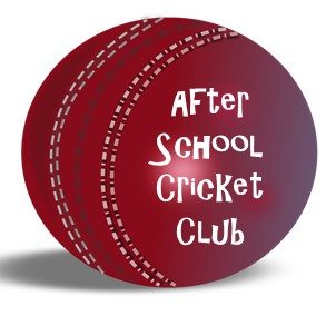 After School Cricket Club
