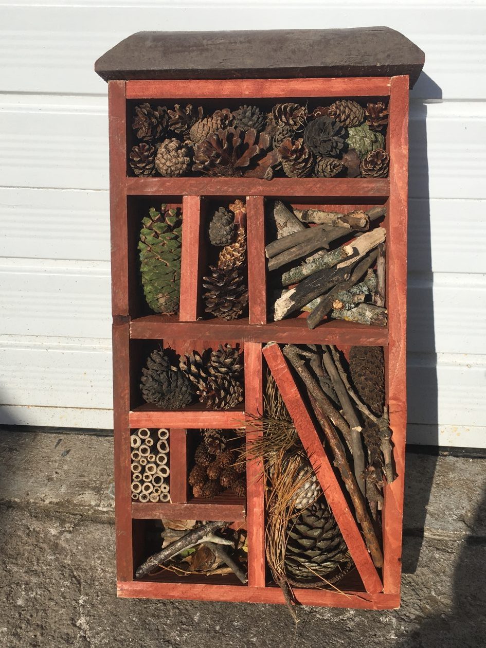 Challenge – Build a Bug Hotel