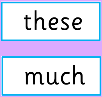 Homework – Primary 3