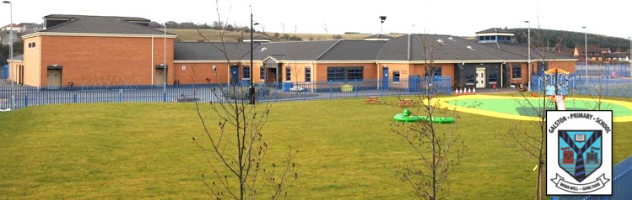 Primary 7 | Galston Primary School