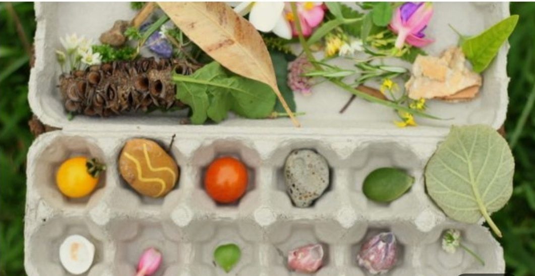 2PM NUMERACY POST-Collecting and counting natural matrials – Catrine ...