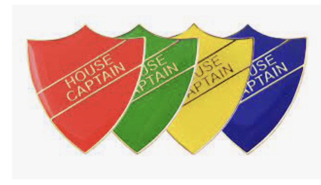 Introducing our new House Captains | Catrine Primary School