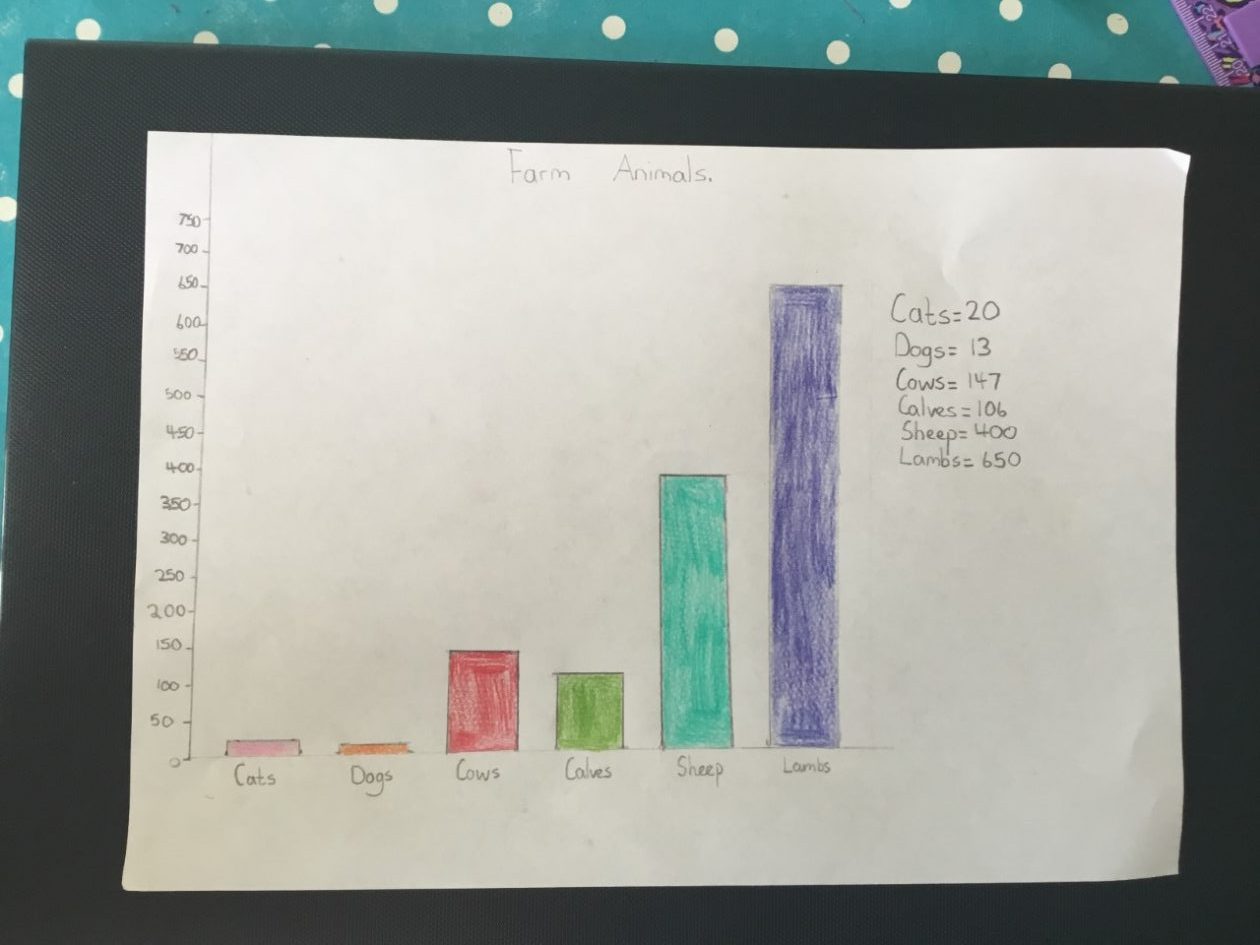 Bar Graphs