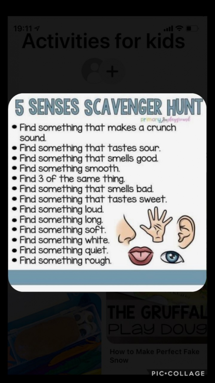 Explore your senses