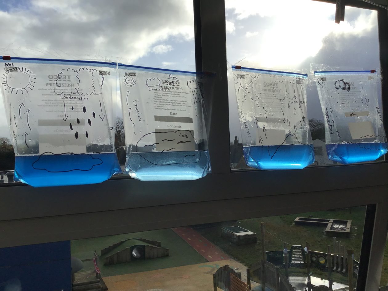The Water Cycle