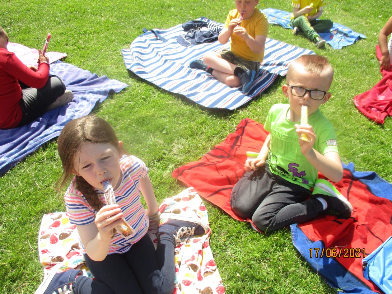 Primary 1 Picnic In The Park. | Dunlop Primary School