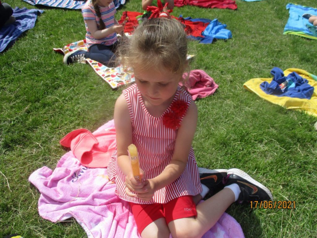 Primary 1 Picnic In The Park. | Dunlop Primary School