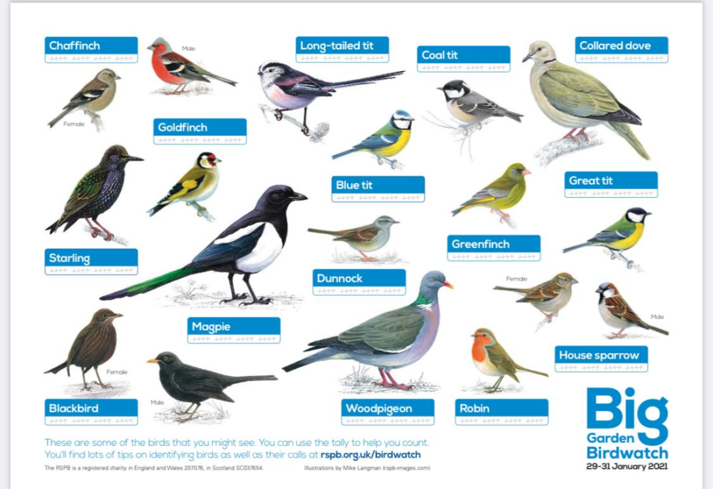 27th – The Big Bird Watch 29-31st Staff Activities and Info | Lainshaw ...