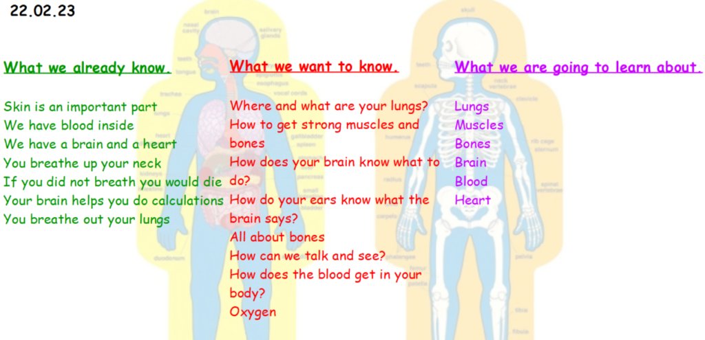 P1 The Body Topic | Primary 1_22/23