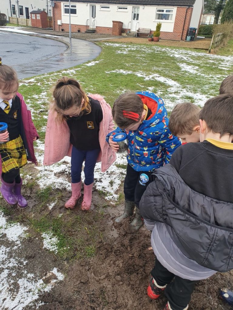 P1 Science Week Day 2. | Primary 1_22/23