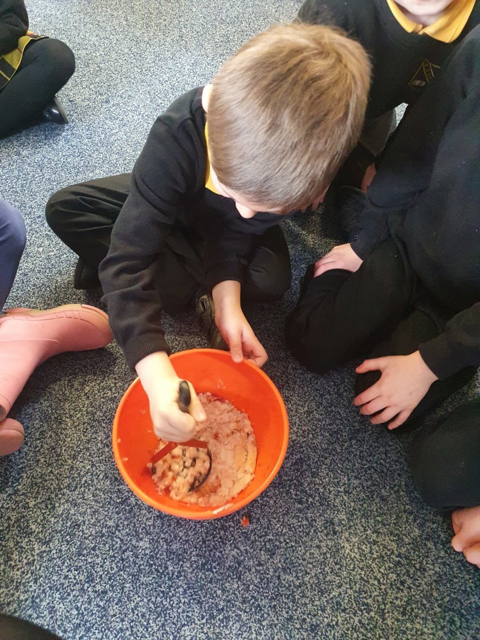 P1 Science Day 3 – Poo | Primary 1_22/23