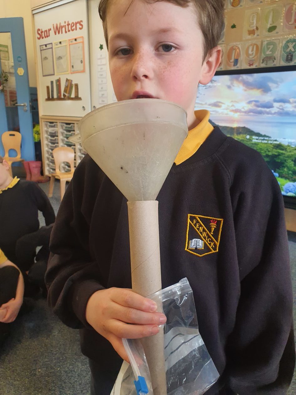 P1 Science Day 3 – Poo | Primary 1_22/23