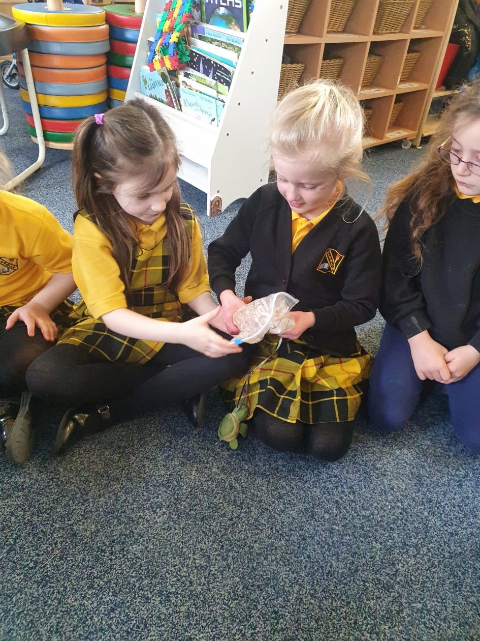 P1 Science Day 3 – Poo | Primary 1_22/23