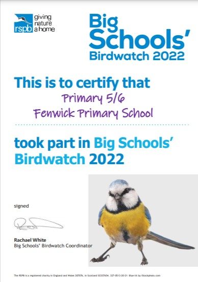 P5/6 RSPB Big Schools’ Birdwatch Certificate | Primary 5/6_21/22