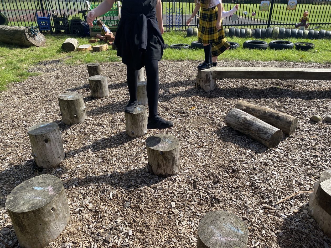 P5/6 Garden | Primary 5/6_22/23