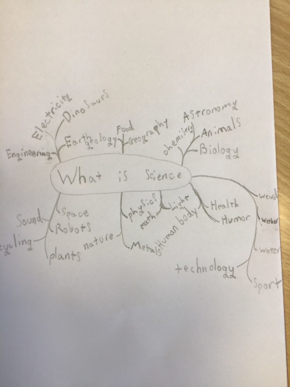 P7 Science | Primary 7_21/22