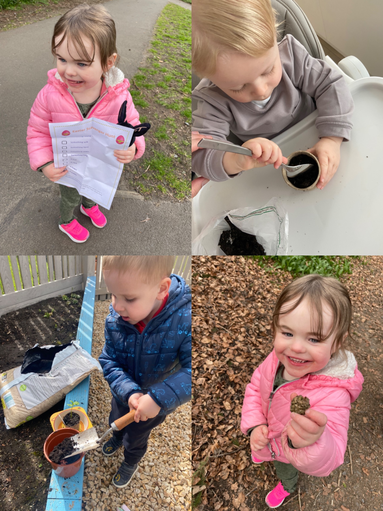 Sunflowers and Scavenger Hunts | Flowerbank Early Childhood Centre