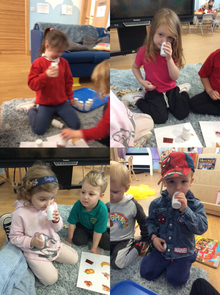 Exploring Our Senses | Flowerbank Early Childhood Centre
