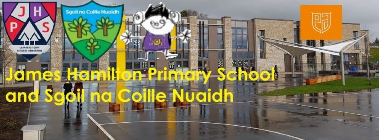 The Exchange | James Hamilton Primary School and Sgoil na Coille Nuaidh
