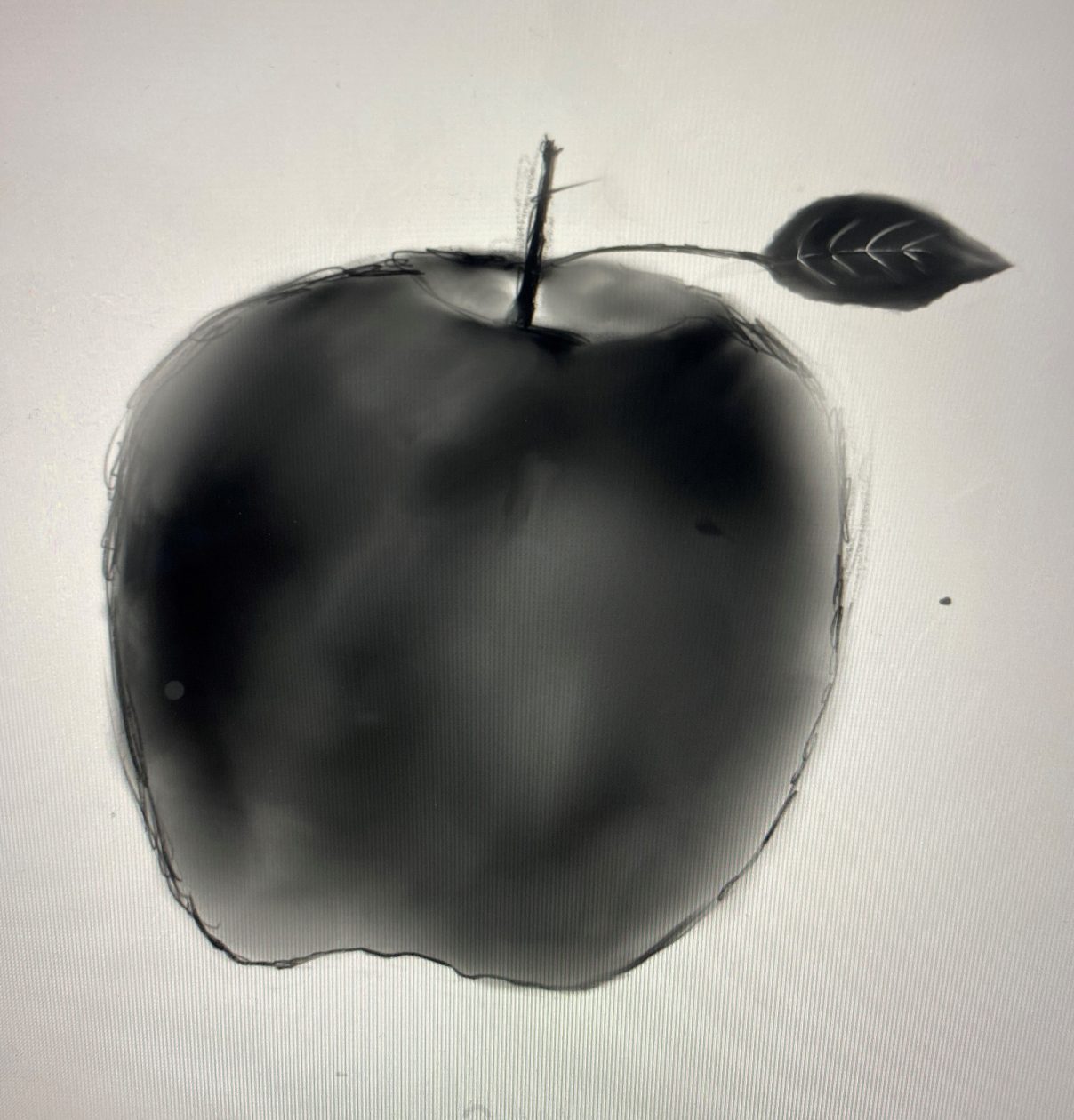 S1 & 2 Organic Object Drawing – Kilmarnock Academy BGE Art & Design Gallery