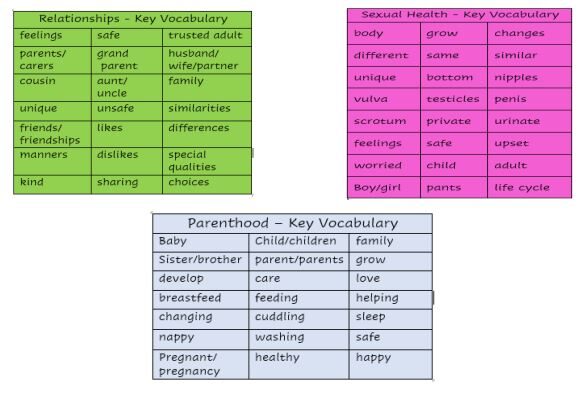 Early Level – LAINSHAW PRIMARY SCHOOL & EARLY CHILDHOOD CENTRE