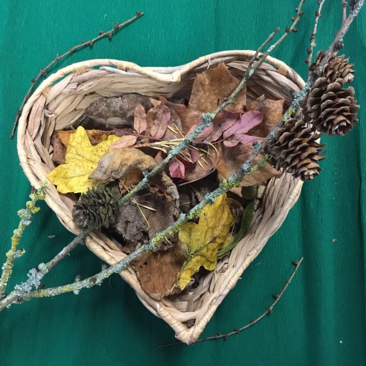 Autumn Treasure | Art&More…