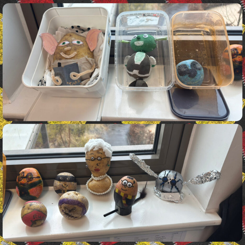 P6M – Miss McLaren – Lochnorris P6C and P6M