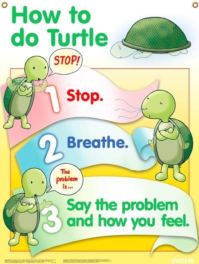 PATHS | Mauchline ECC