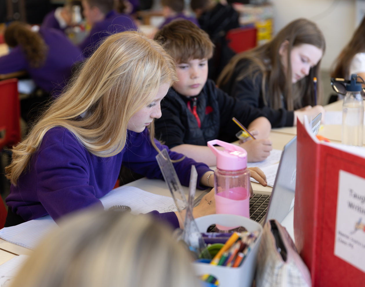 Curriculum Rationale – NETHER ROBERTLAND PRIMARY SCHOOL