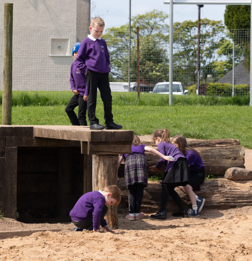 NETHER ROBERTLAND PRIMARY SCHOOL