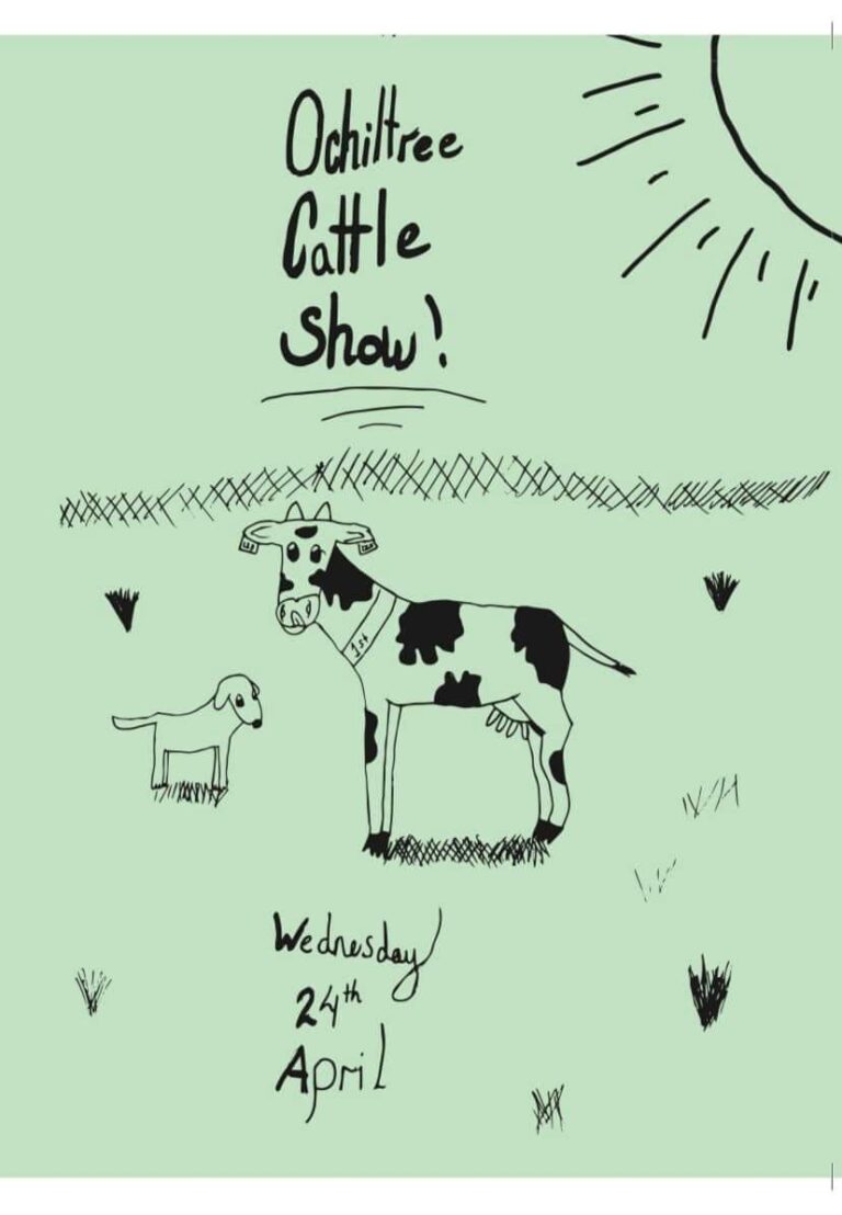 Ochiltree Cattle Show 2024 | Ochiltree Primary School